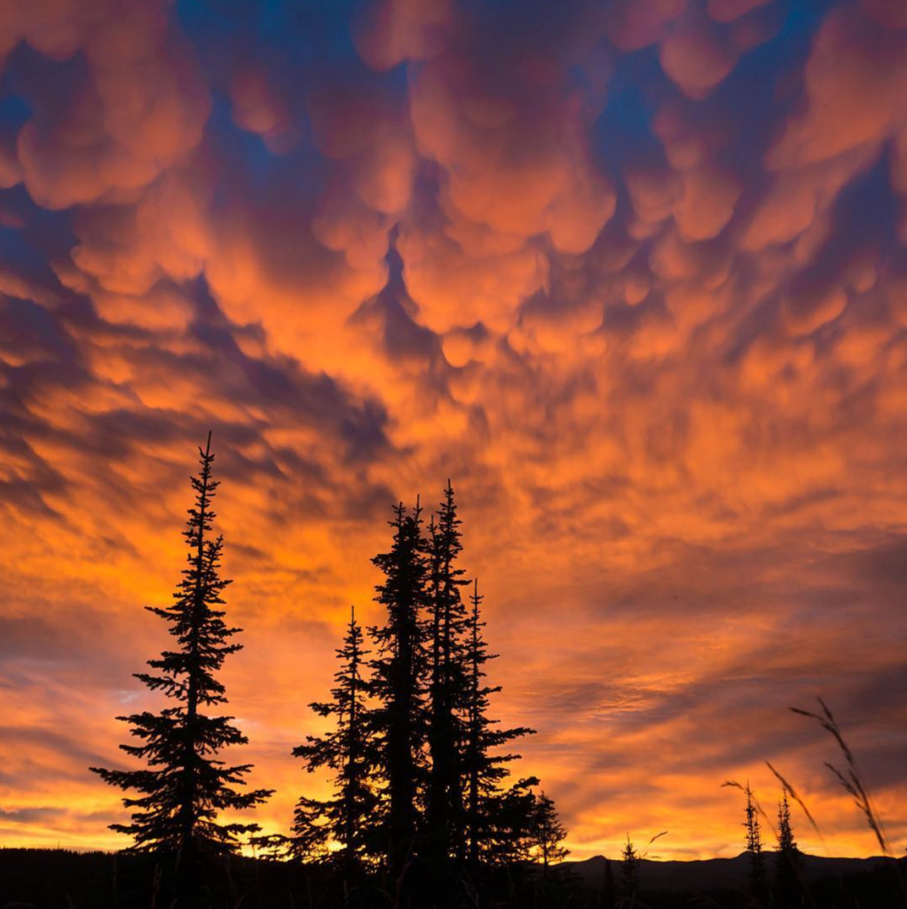 Wonders of the Pacific Northwest Trail Broken Down by the Numbers