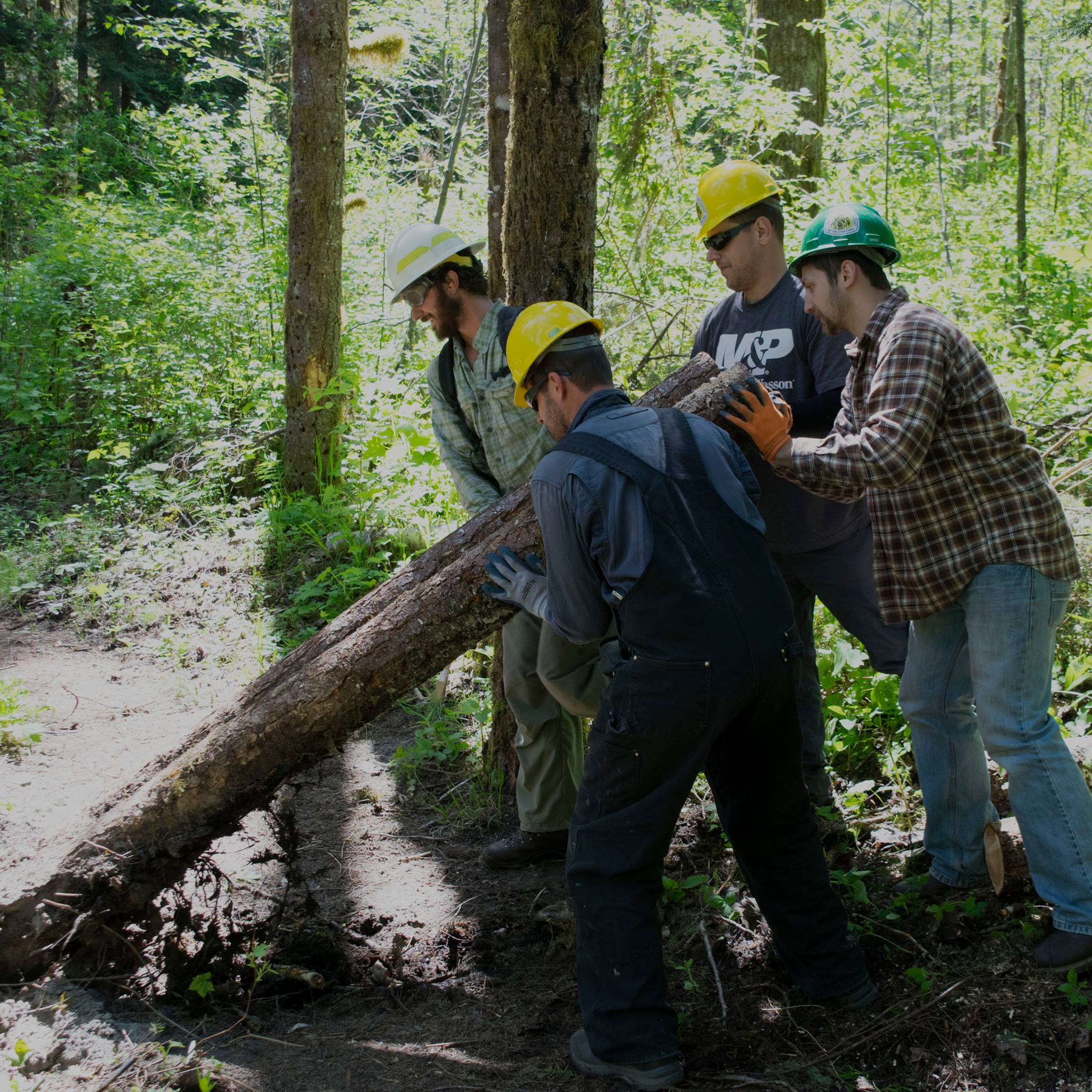 Trail Work at the Pacific Northwest Trail Association