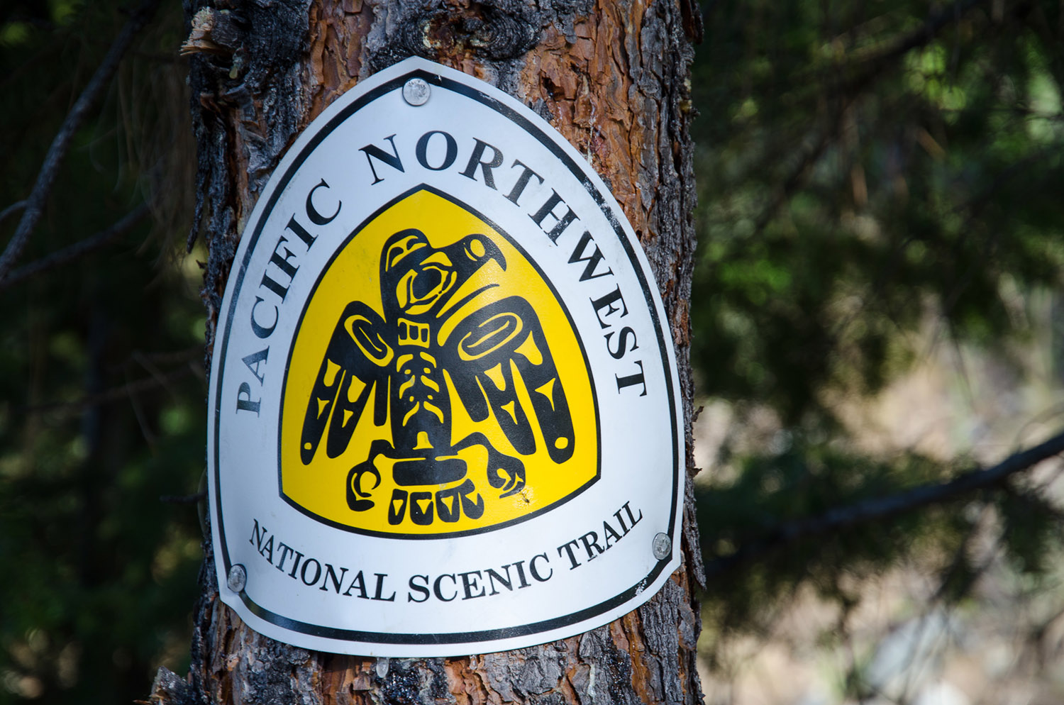 Plan Your Trip on the Pacific Northwest Trail