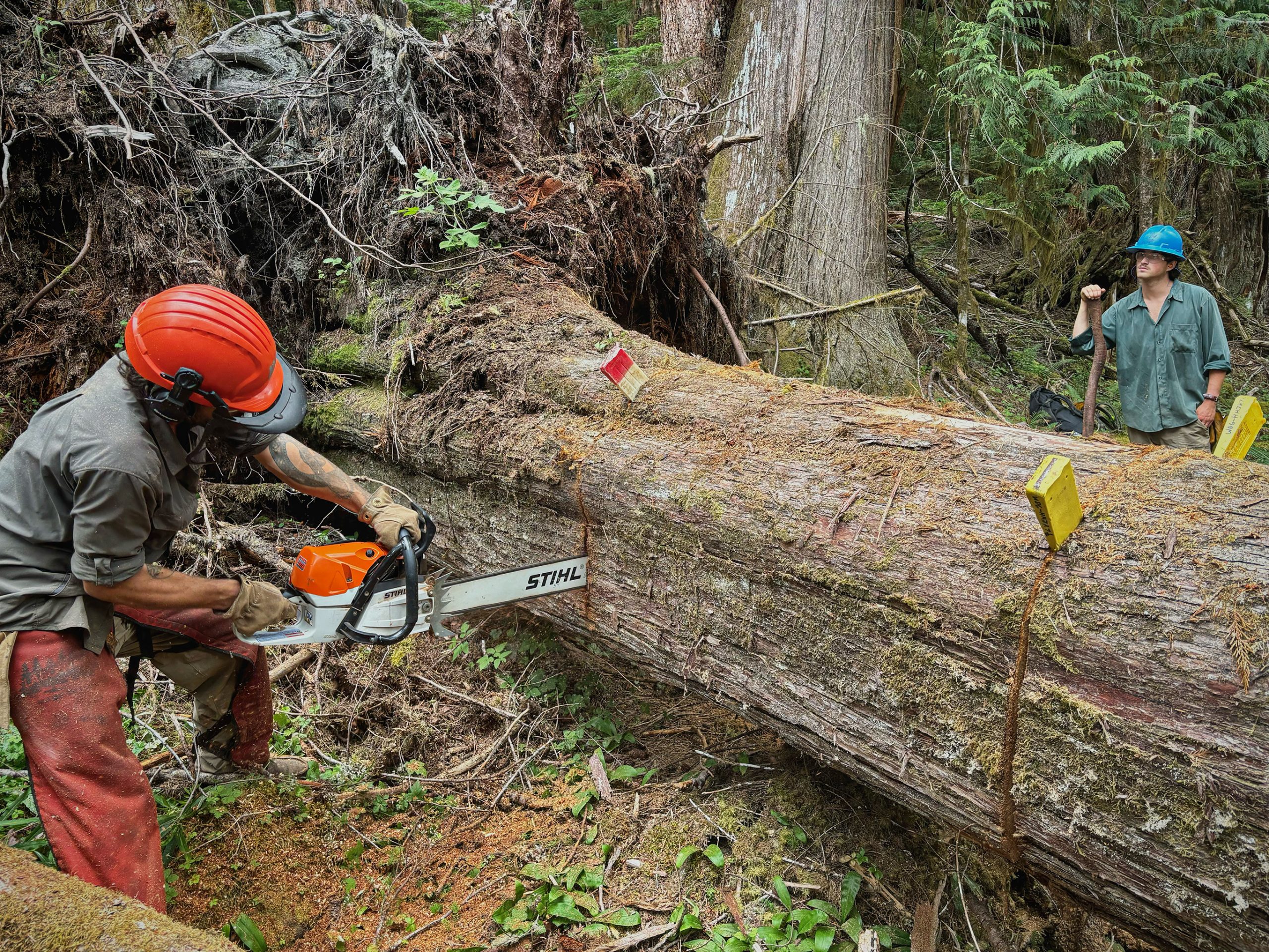 September Trail Notes